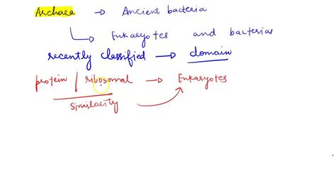Solved Review The Differences Between Archaea And Bacteria By Completing Each Sentence