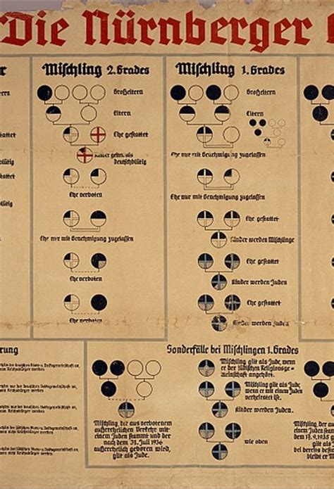 Reportajes Y Fotografías De Holocausto En National Geographic Historia