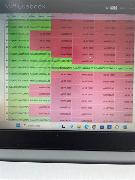 bulk import data problem bug reports wild me community forums