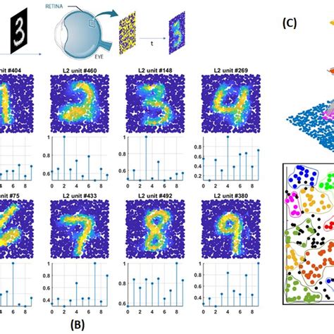 Unsupervised Learning Of Self Organized Networks A Schematic Of