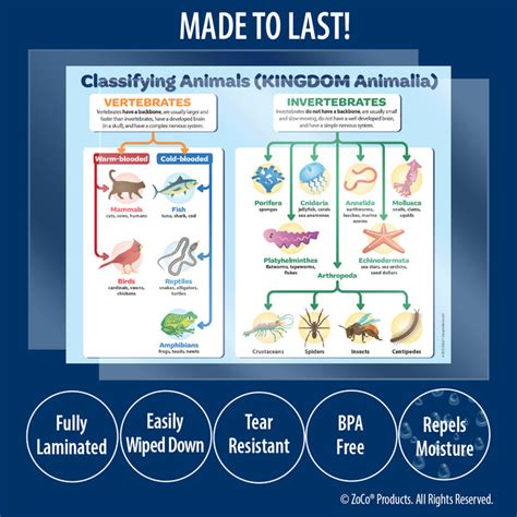 2 Science Poster Pack 17x22 Laminated — Zoco Products