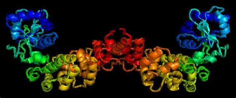 Trnt1 Alchetron The Free Social Encyclopedia