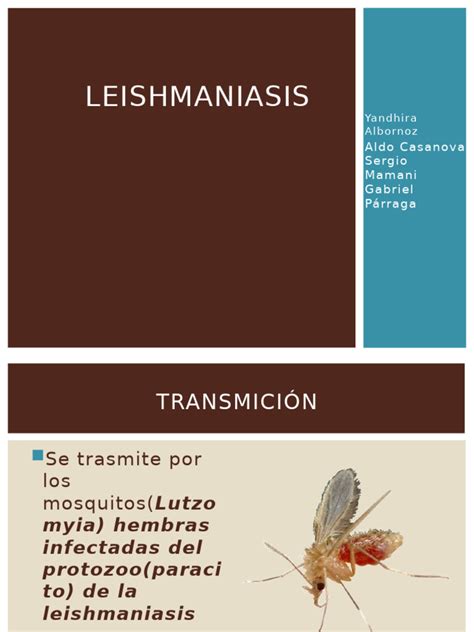 Leishmaniasis Pdf