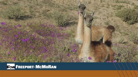 Bertrand Odinet On Linkedin Proud To Be Part Of Such An Outstanding