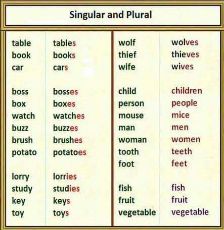 Palabras En Ingles En Singular Y Plural Ejemplos Hhbvnt
