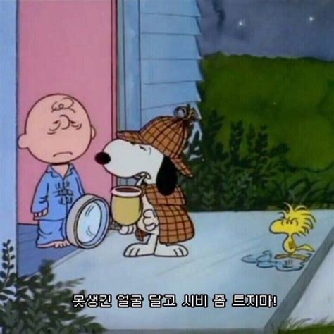 [감성글귀 아이폰배경]희귀 스누피짤 프사배경 하기 좋은 스누피 명대사 모음 6탄 스누피 웃긴 바탕화면 피너츠