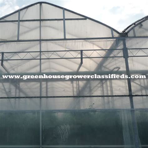 Pati Di Lite Difused Greenhouse Plastic