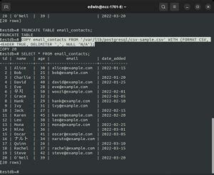 How To Export And Import Data In PostgreSQL A Detailed Guide Blackdown