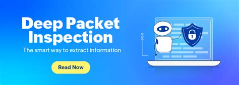 Perform Thorough Packet Filtering In Real Time With Deep Packet Inspection To Prevent Hidden