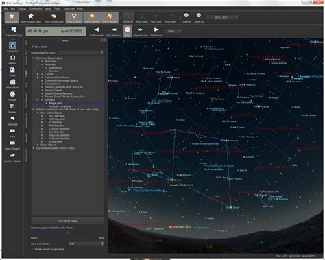 Thesky Professional 2025