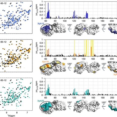Epitope Mapping Ac¹⁵n Hsqc Nmr Spectrum Of Unbound 80 μm