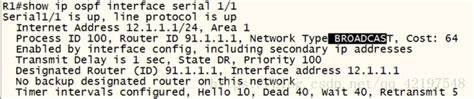 动态路由协议 ospf的网络接口类型 ospf支持8中不相同的端口类型 csdn博客
