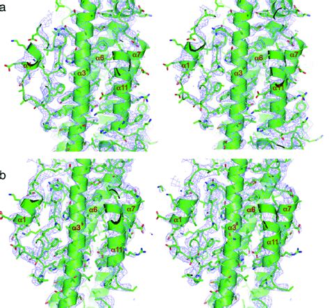 Comparison Of Em Density Maps Of Apc C Cdh1 Emi1 And Crystal Structure Download Scientific