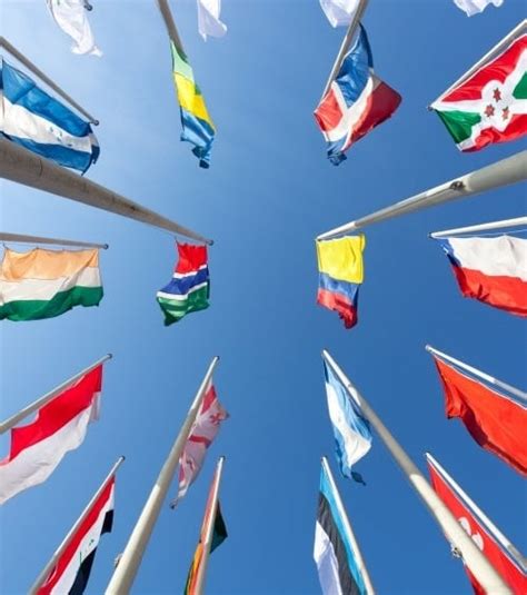 Regulatory Intelligence