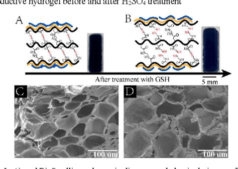 Figure 3 From Responsive Paam Pedot Pss Hydrogel Based Electrochemical Sensor For Glutathione