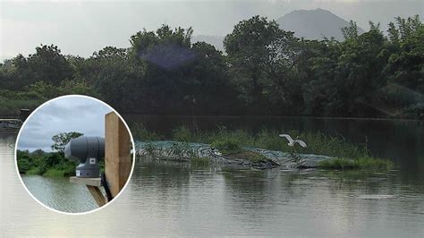 Realtime Ai Bird Detection Using Smartphone Robotics Cats