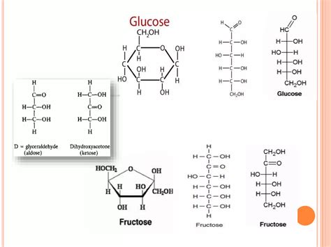 Biomolecules Carbohydrates Lipids Nucleic Acid PPTX