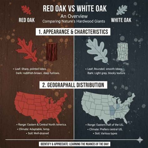 Red Oak Vs White Oak What You Need To Know