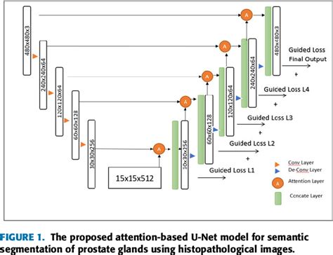 figure 1 from a novel attention based model for semantic segmentation