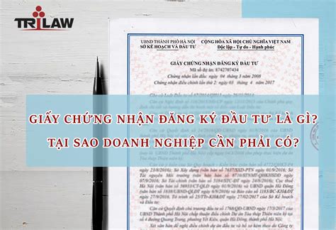 Giấy chứng nhận đăng ký đầu tư là gì Tại sao doanh nghiệp cần phải có TriLaw Luật doanh