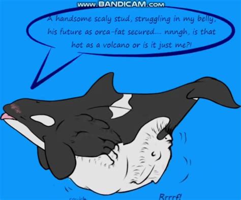 Orca Vore Digestion