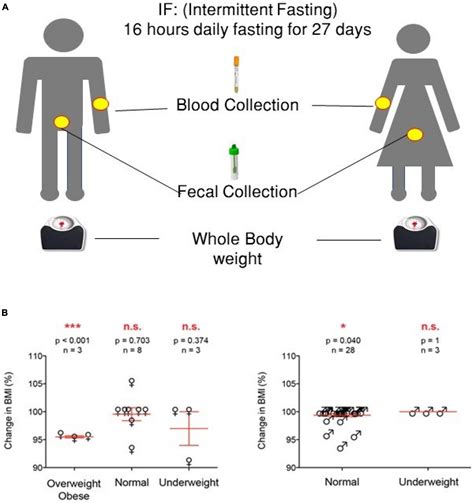 Frontiers Intermittent Fasting Positively Modulates Human Gut Microbial Diversity And