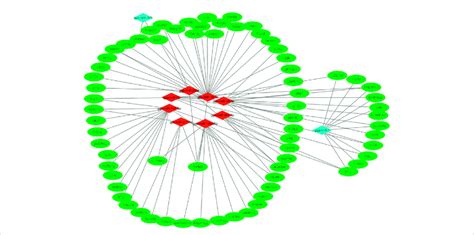 mrna mirna regulatory network in the pre hierarchical follicles of