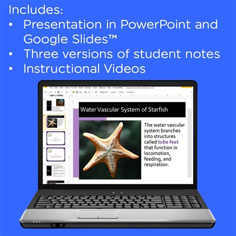 Invertebrates Powerpoint Notes And Videos Science Island