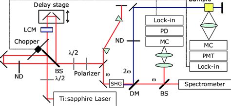 The Experimental Setup For The Quantum Wavepacket Interferometry Download Scientific Diagram