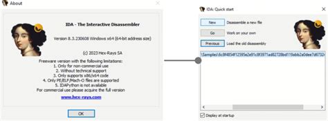 the interactive disassembler ida pro security investigation