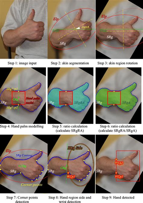The Different Steps Used In Our Proposed Method For Hand Detection Download Scientific Diagram