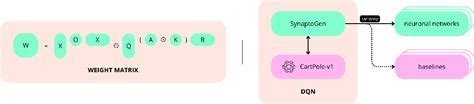 figure 1 from optimizing genetically driven synaptogenesis semantic