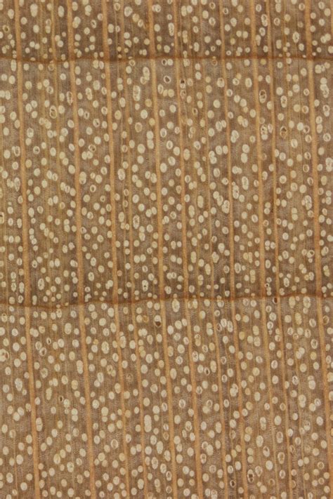 Differences Between Hard Maple And Soft Maple The Wood Database