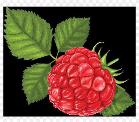 Raspberry Png Transparent Png X PinPng