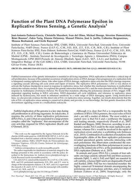 Pdf Function Of The Plant Dna Polymerase Epsilon In Replicative