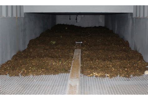 Importance Of Drying Hemp For Cbd Oil Extraction Stronga