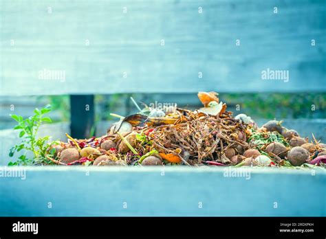 Compost Heap With Organic Waste Composting And Recycling Of Organic Matter In Horticulture