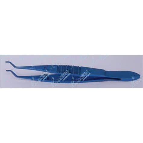 Superior Rectus Forceps At Best Price In Kolkata West Bengal