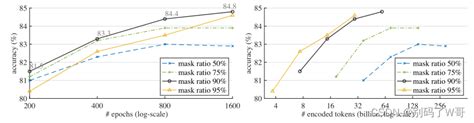 masked autoencoders as spatiotemporal learners精读笔记 csdn博客