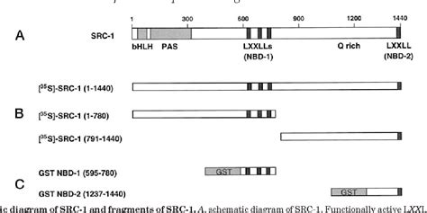 Figure 1 From Thyroid Hormone Response Elements Differentially Modulate