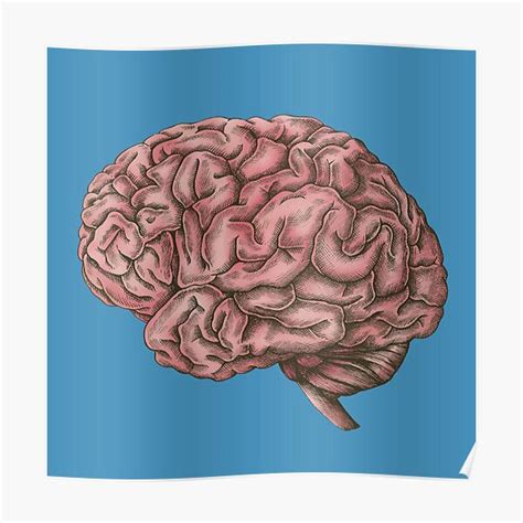 Sapiosexual Love On The Brain Poster By Kwbord Redbubble