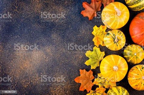 어두운 콘크리트 배경 가을 개념 복사 공간에 가을 말린 잎 장식 미니 원시 호박 가을에 대한 스톡 사진 및 기타 이미지 가을