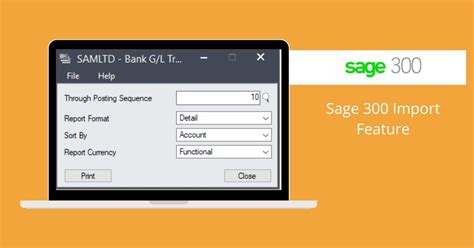 import feature in sage 300 sage software