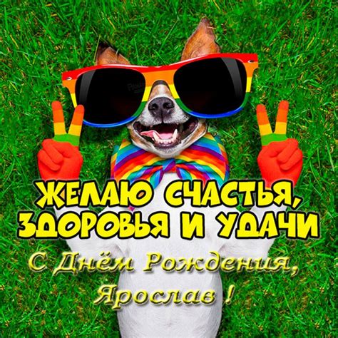 Картинки с днем рождения Ярослав (105 открыток)