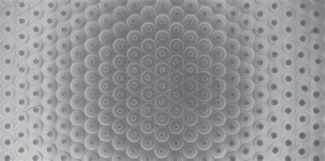 Sun Bioscience Vers Chez Les Blanc