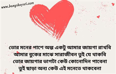 Top Bangla Shayari And 100 Bangla Shayari For Girlfriend
