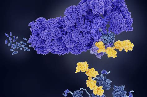 Proteomics For Protacs And Molecular Glues Deep Discovery