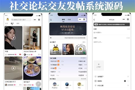 最新社交论坛交友发帖系统源码 前后端分离 H5、微信小程序、app端 牛角网 Ai源码deepseek精品源码网站源码小程序