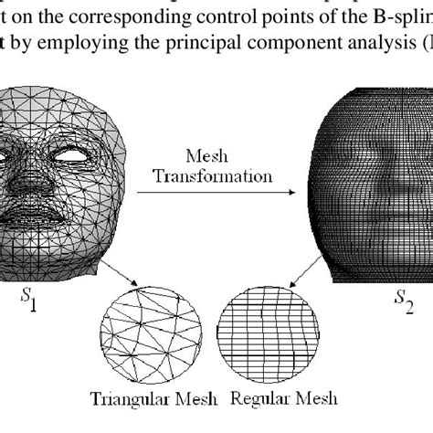 Mesh Transformation From Face A Triangular Mesh To A Regular Mesh