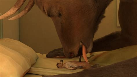 Sexy Macro Deer Thisvid Com